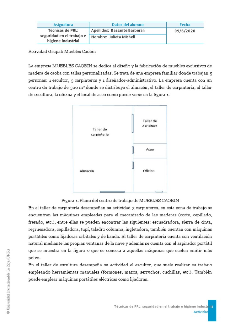 Actividad Grupal - Muebles Caobin - Bassante Julieta | PDF | Seguridad ...