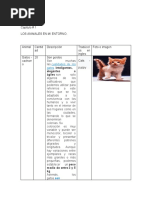 Infografia Del Zorro | PDF