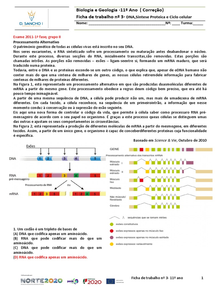 Mecanismos de ação dos microRNAs e seu potencial como fármacos | PDF ...