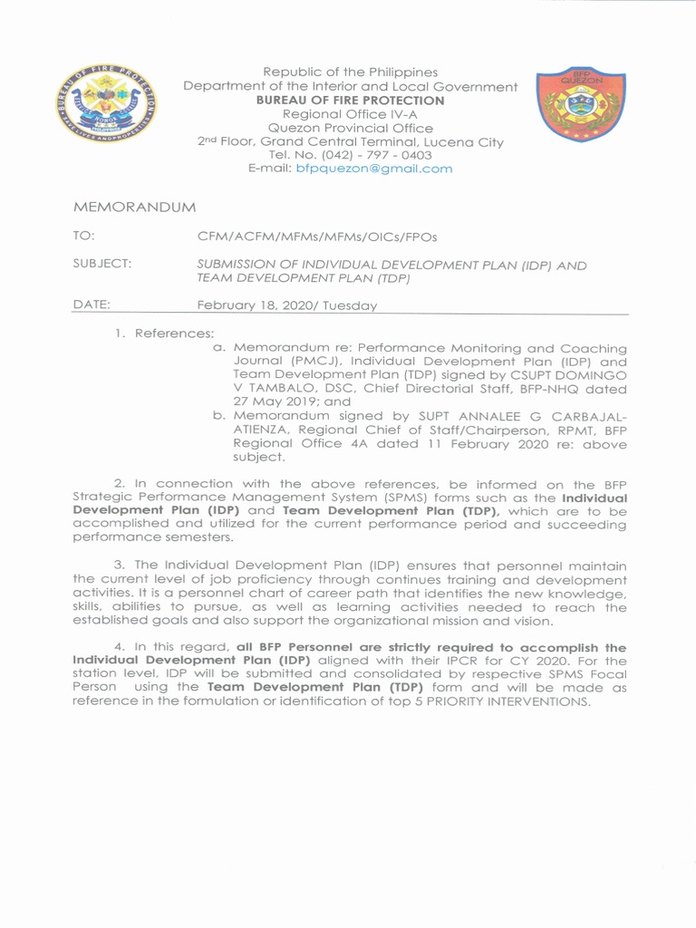 Individual Development Plan (Idp) and Team Development Plan (TDP) | PDF
