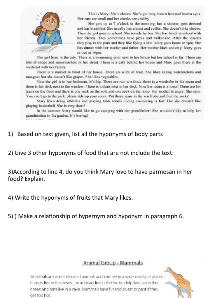 Exercises For Hyponyms | PDF