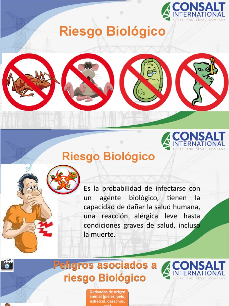 Riesgo Biologico | PDF | Microorganismo | Virus