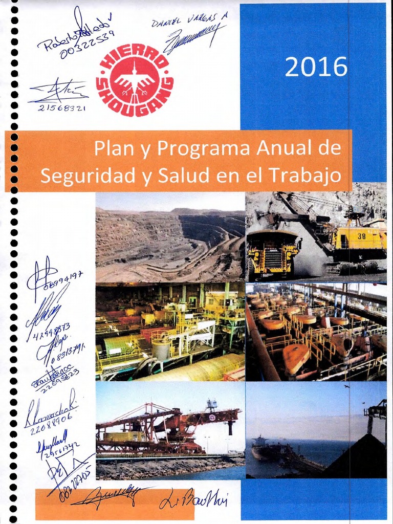 Plan y Programa Anual de Seguridad y Salud en El Trabajo P Á G I N A 1 INDICE | PDF | Seguridad ...