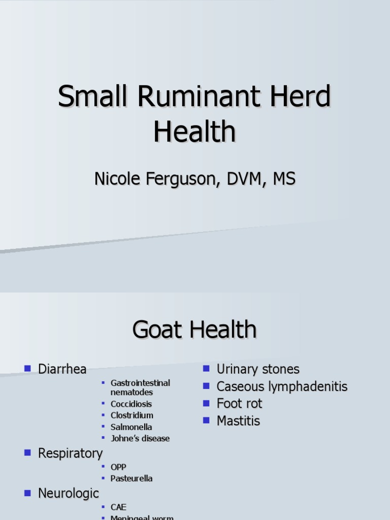 099 - Small Ruminant Health | PDF | Pneumonia | Sheep