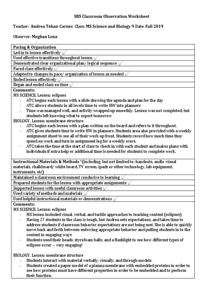 SBS Classroom Observation Worksheet | PDF | Nonverbal Communication ...