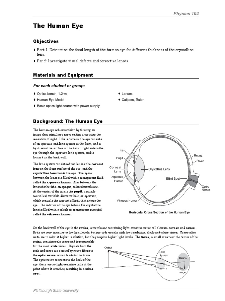 4 The Human Eye | PDF | Eye | Optics