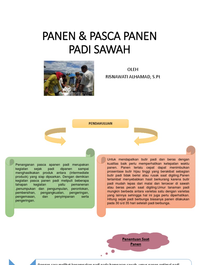 Panen Dan Pasca Panen Padi Sawah PDF | PDF