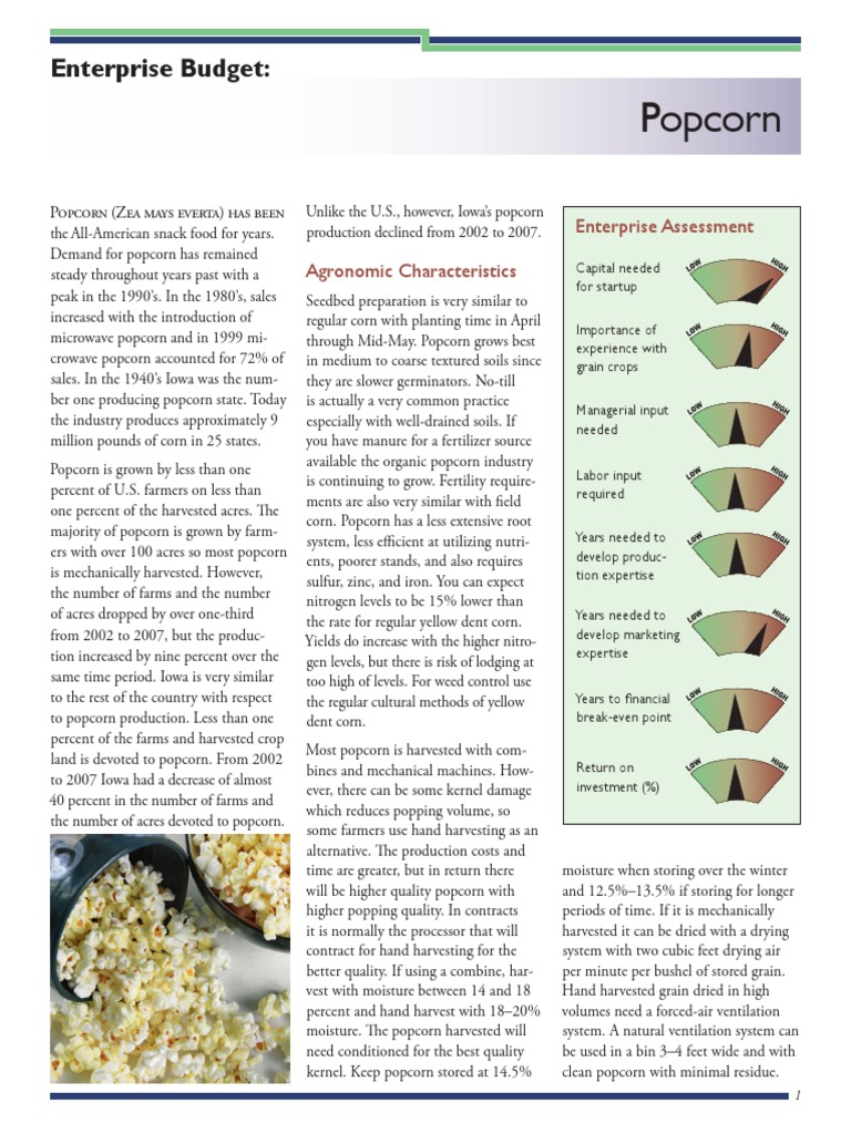 Popcorn: Enterprise Budget | PDF | Popcorn | Maize
