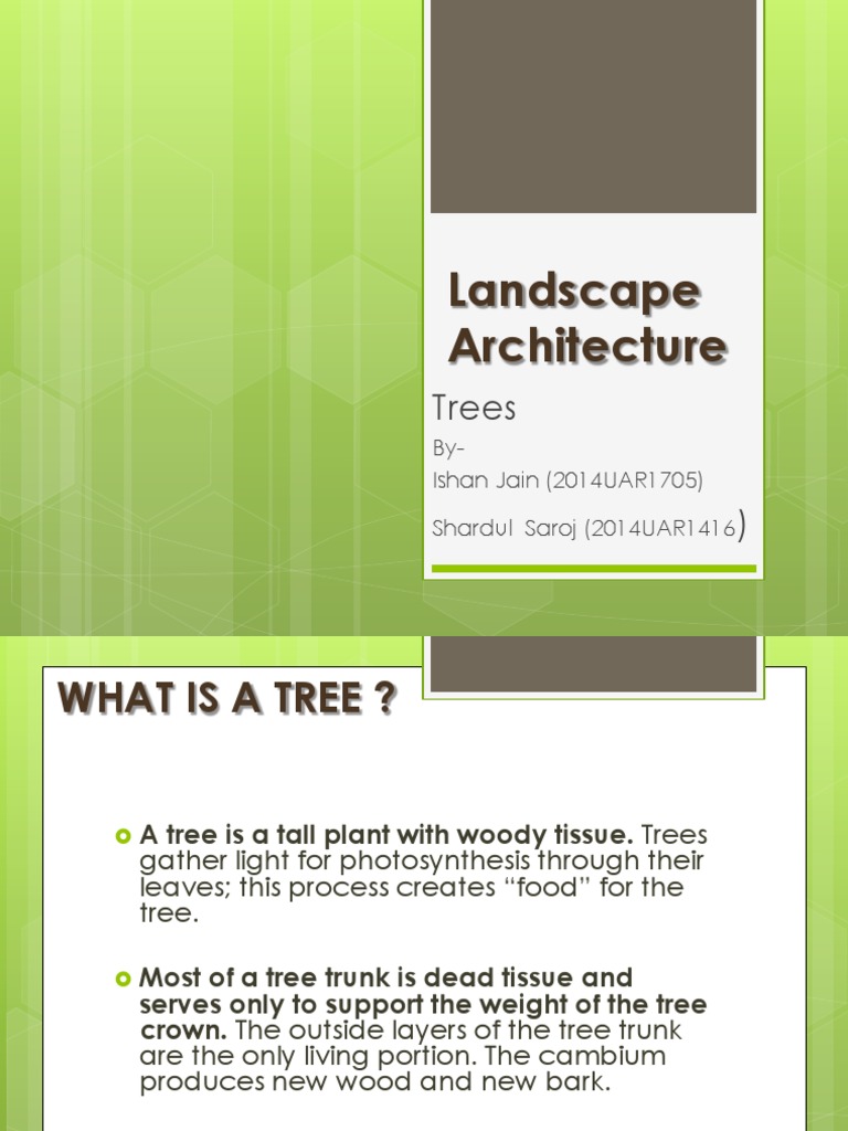 Trees PDF | Download Free PDF | Trees | Leaf