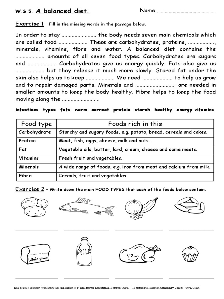KS3 Science Revision Worksheets Special Edition | PDF | Carbohydrates ...