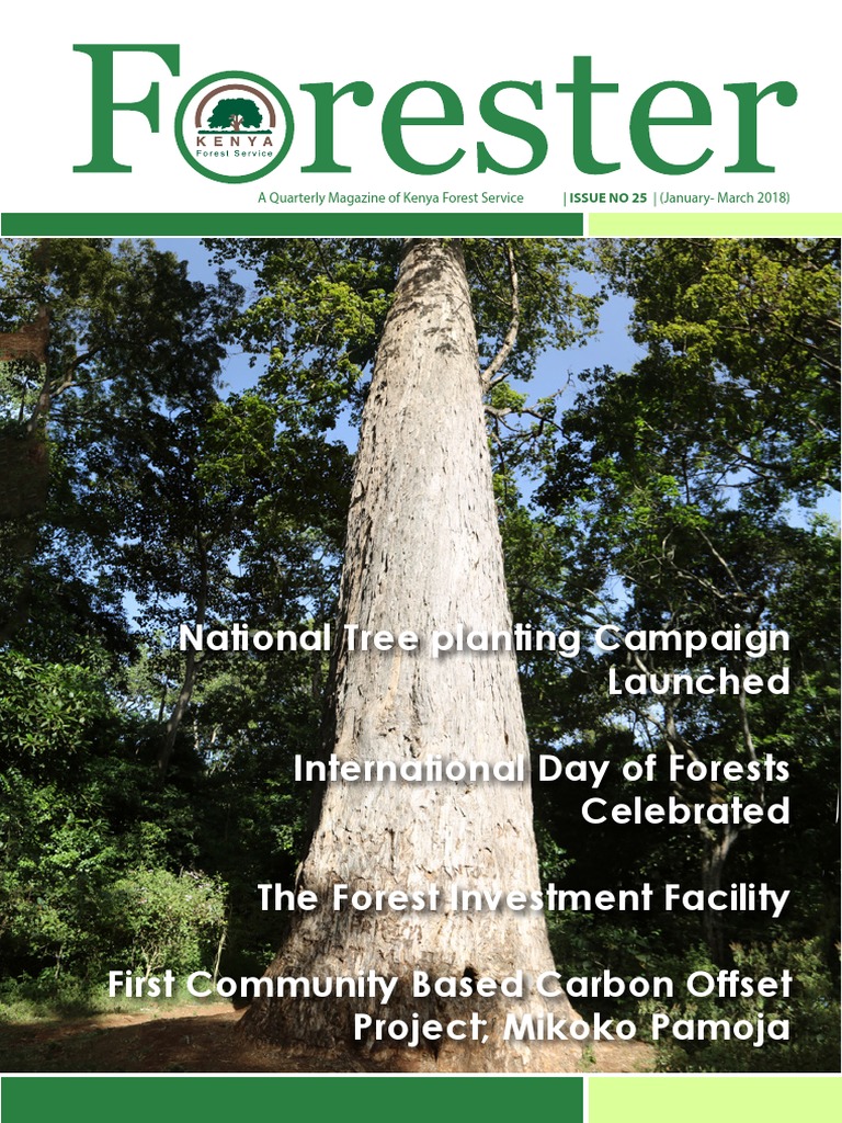 Forester Issue 25 Pdf Download Free Pdf Mangrove Natural Environment
