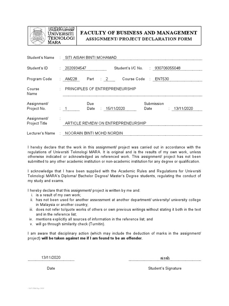 Assignment Project Declaration Form | PDF