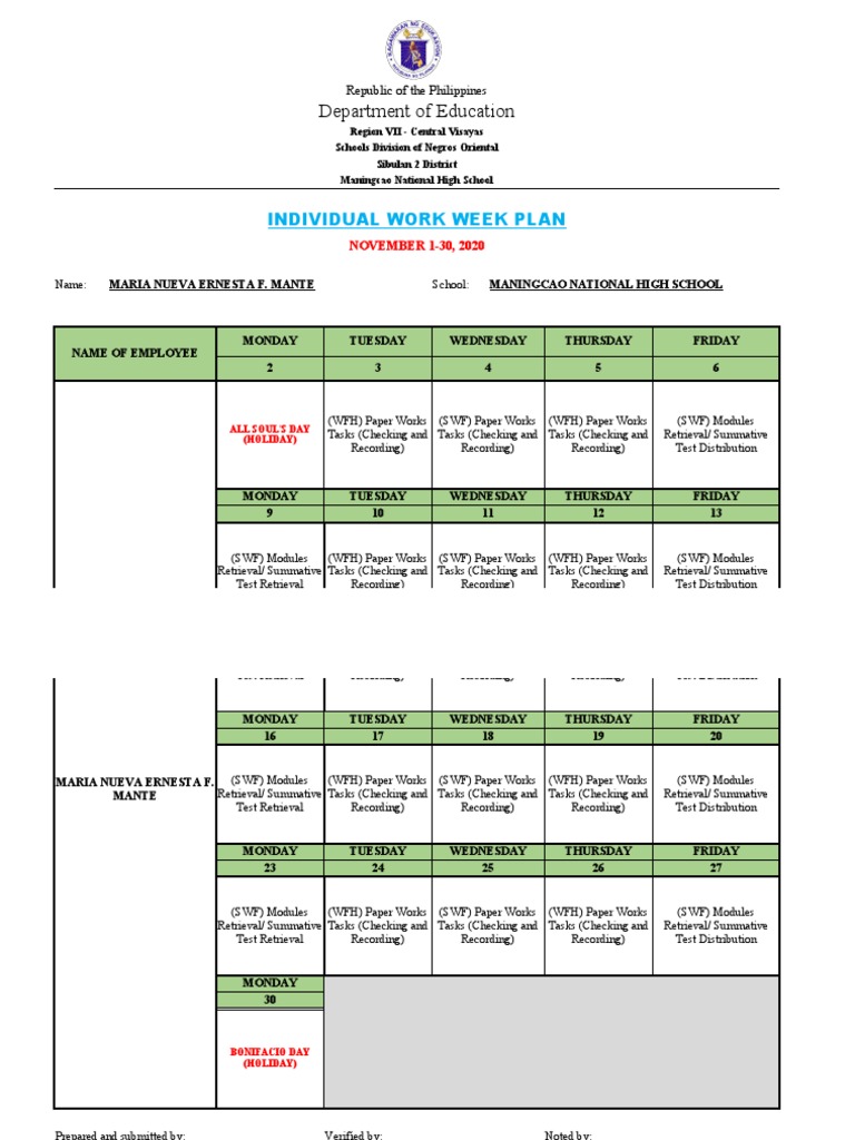 Department of Education: Individual Work Week Plan | PDF | Business