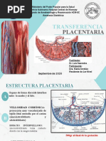 Caso Clínico Torax Leñoso | PDF | Músculo | Especialidades Medicas