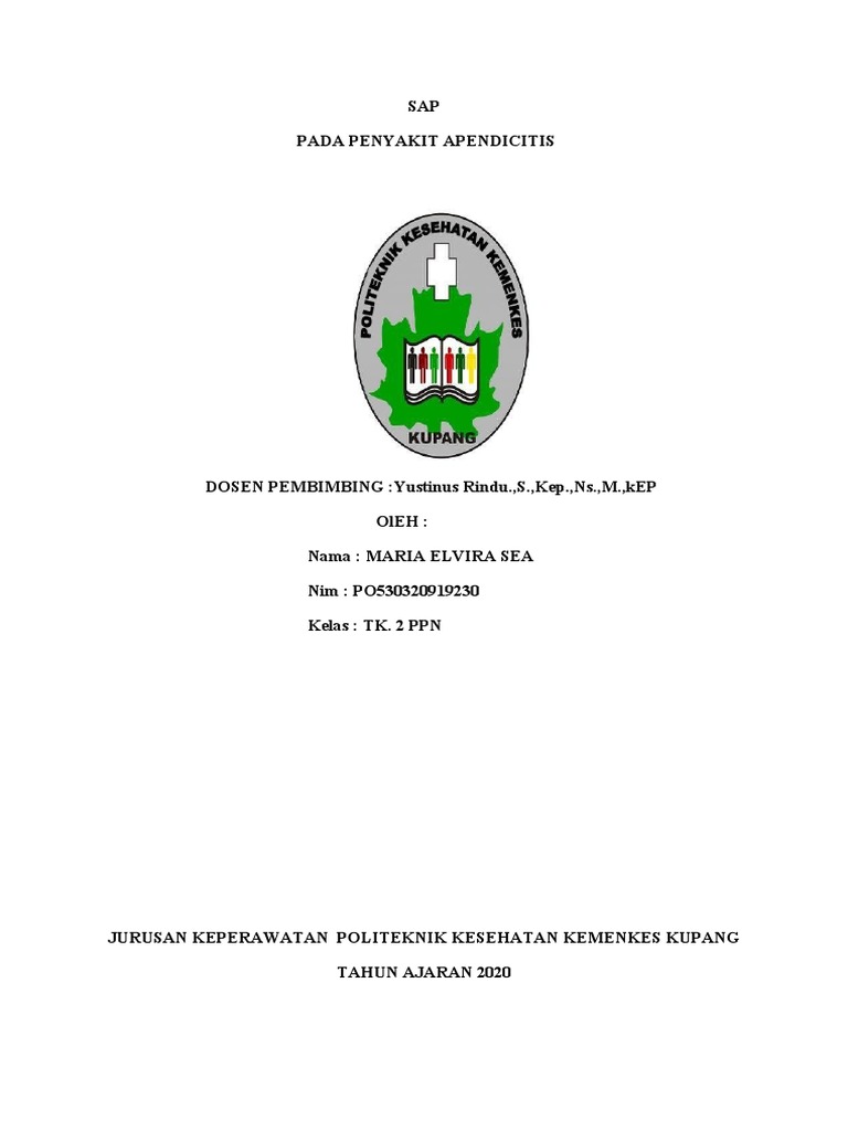 Sap Apendisitis Promkes | PDF | Kesehatan Holistik