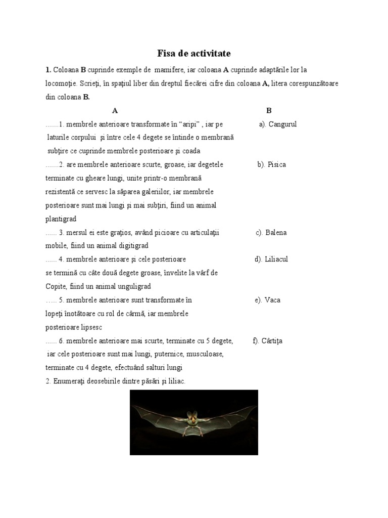 Fisa de Activitate Locomotia | PDF