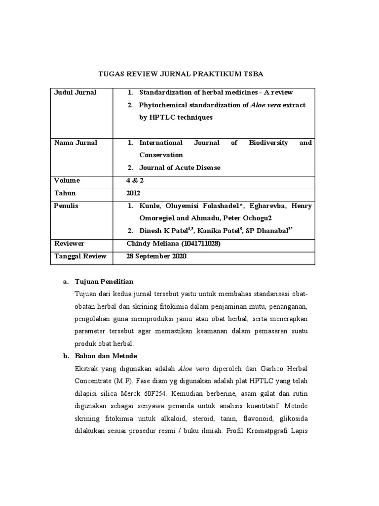 ChindyMeliana - 1041711028 - TUGAS REVIEW JURNAL PRAKTIK TSBA | PDF
