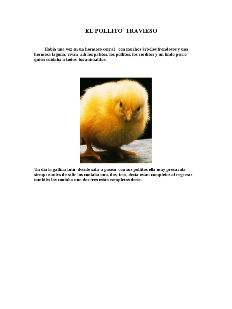 Cuento El Pollito Travieso | PDF