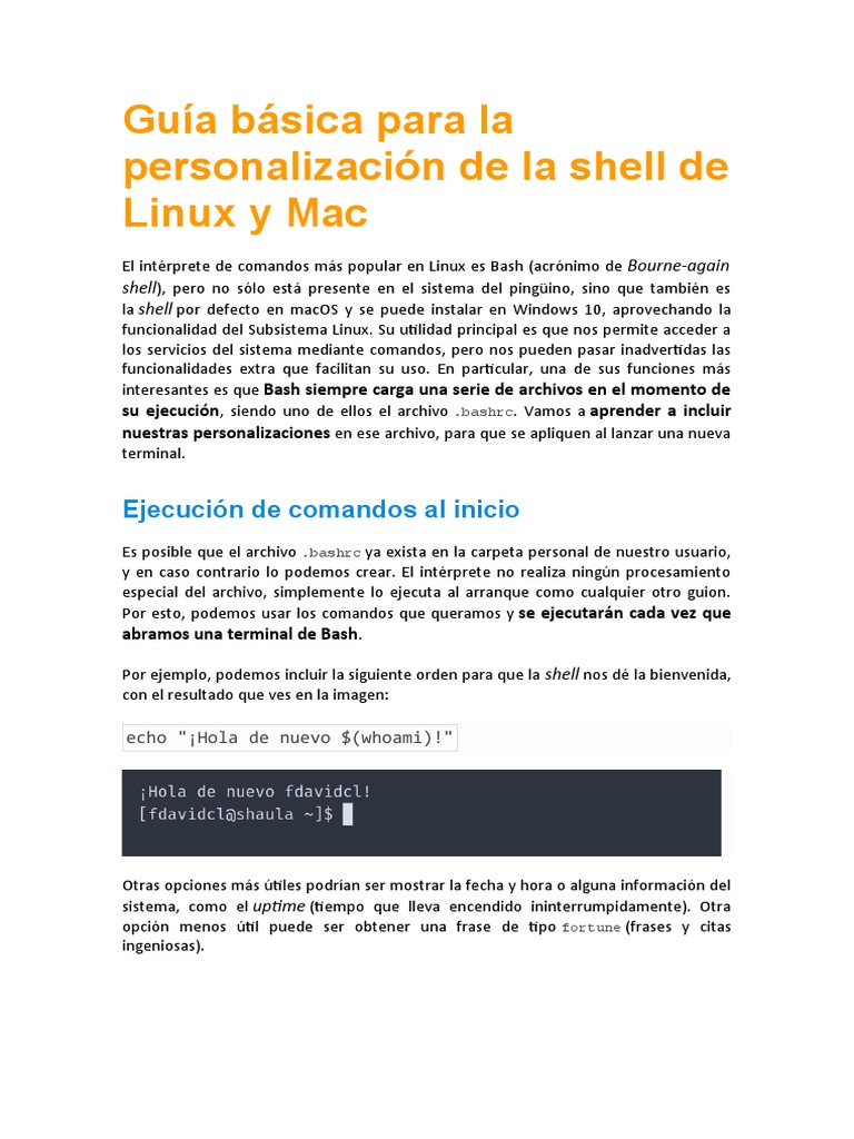 Guía básica para la personalización de la shell de Linux y Mac | PDF ...