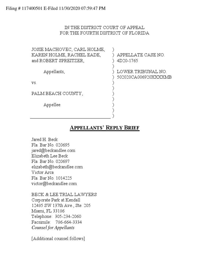 Appellant's Reply Brief | PDF | Privacy | Appeal