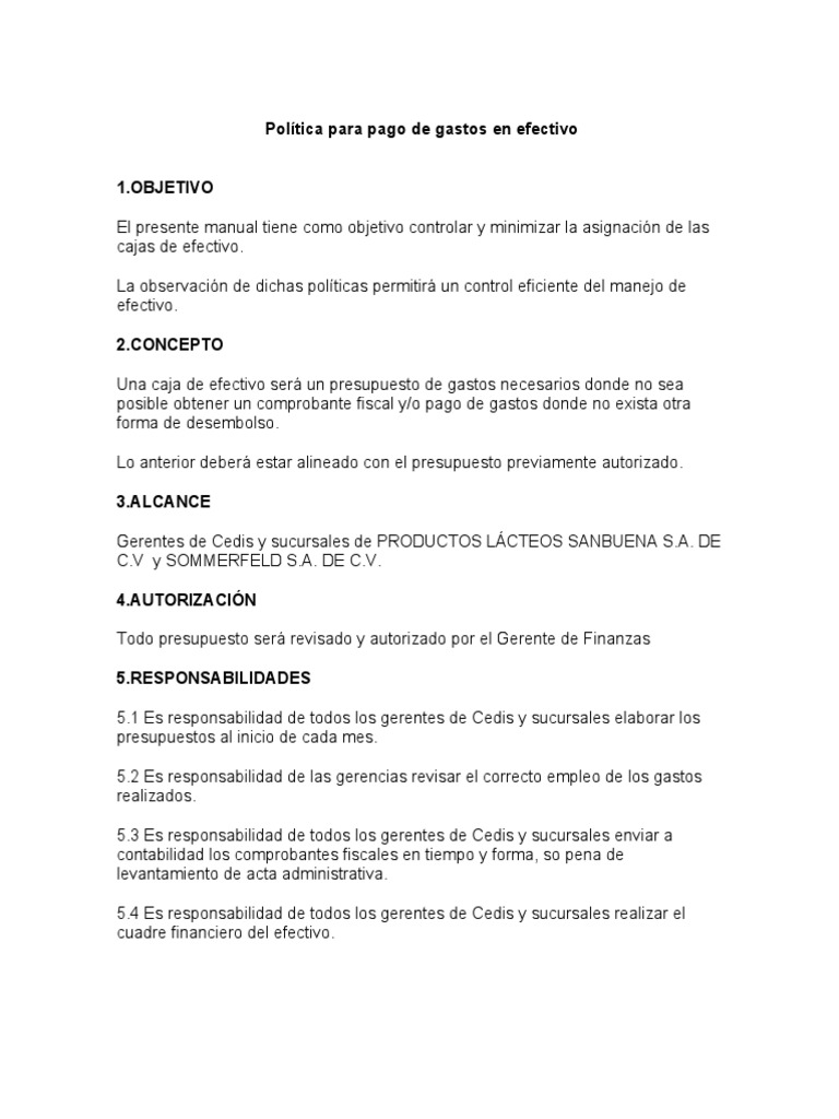 Política De Pagos Para Gastos En Efectivo Pdf Presupuesto