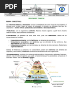 Actividades Flujo de Energía Ecosistemas | PDF | Red alimentaria ...