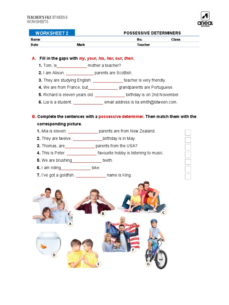 Worksheet 2: My Your His Her Our Their | PDF