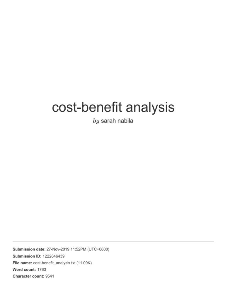 Cost-Benefit Analysis Report | PDF