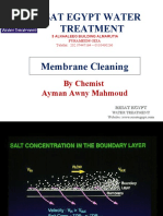 CIP Calculation | PDF | Membrane | Pump