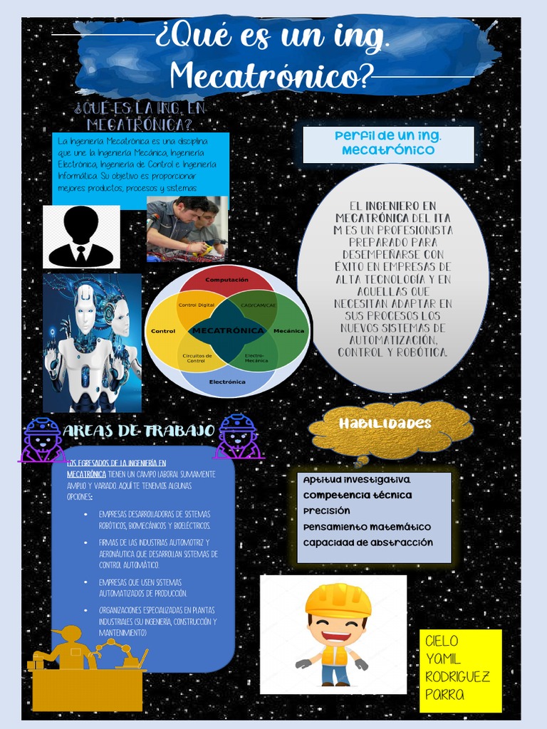 Ingeniero Mecatronico Infografia | PDF