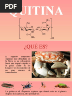 Funciones y Usos de la Quitina | PDF