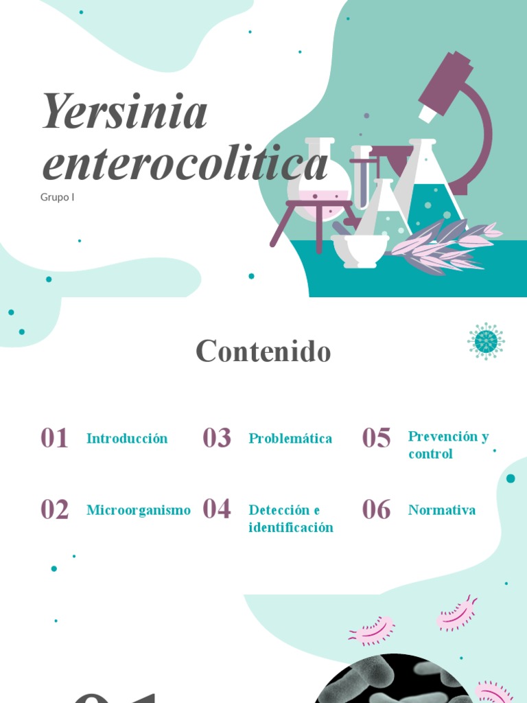 Yersinia Enterocolitica | PDF | Carne | Microbiología