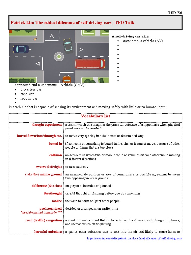 Self-Driving Car Dilemma | PDF | Traffic Collision | Murder