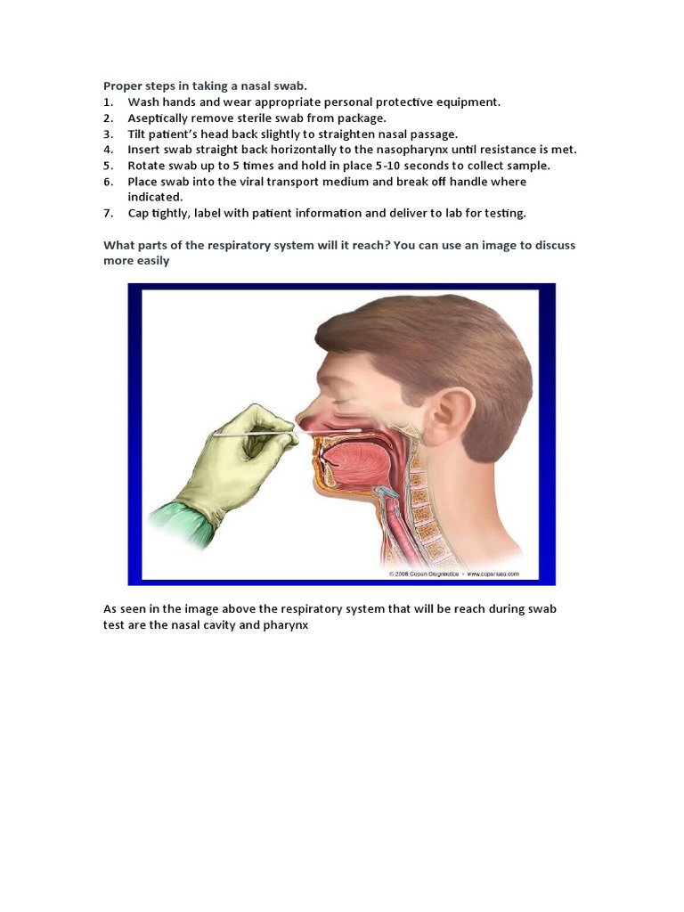 Proper Steps in Taking A Nasal Swab
