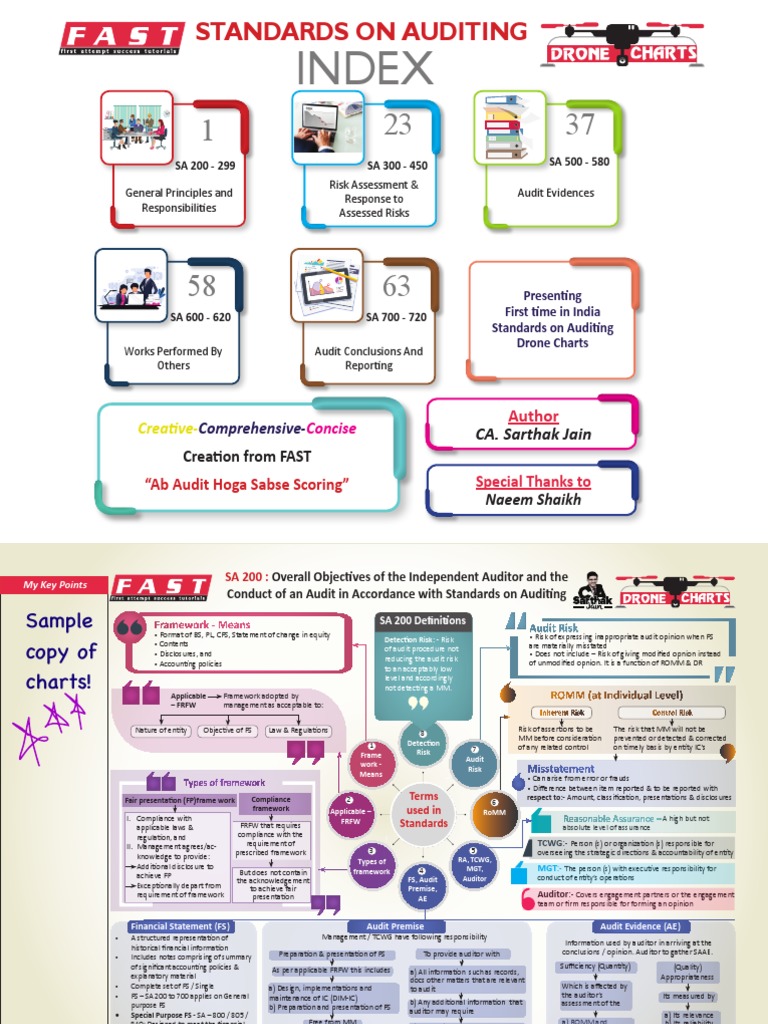 SA 200 Drone Charts by CA SJ Sample Inter | PDF | Audit | Business