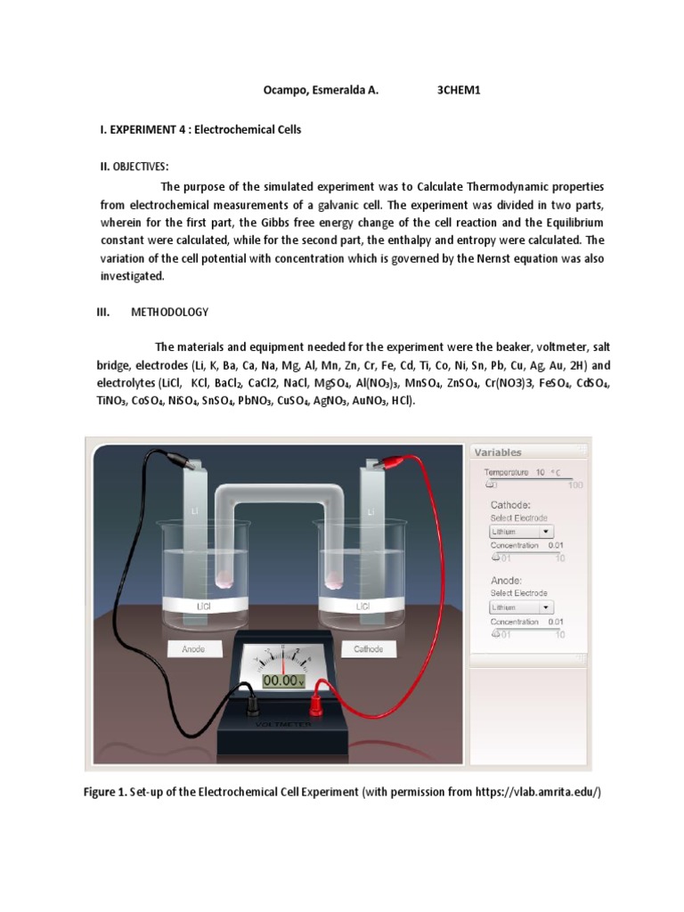 Electrochemical Cells Lab Report | PDF | Electrochemistry | Gibbs Free ...