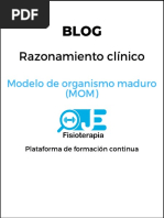 Músculos Del Torso | PDF | Sistema musculoesquelético | Anatomía humana