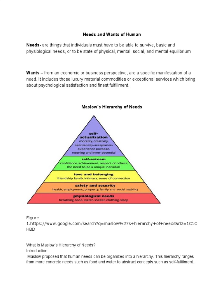 Needs and Wants of Human PDF | PDF | Self Esteem | Demand
