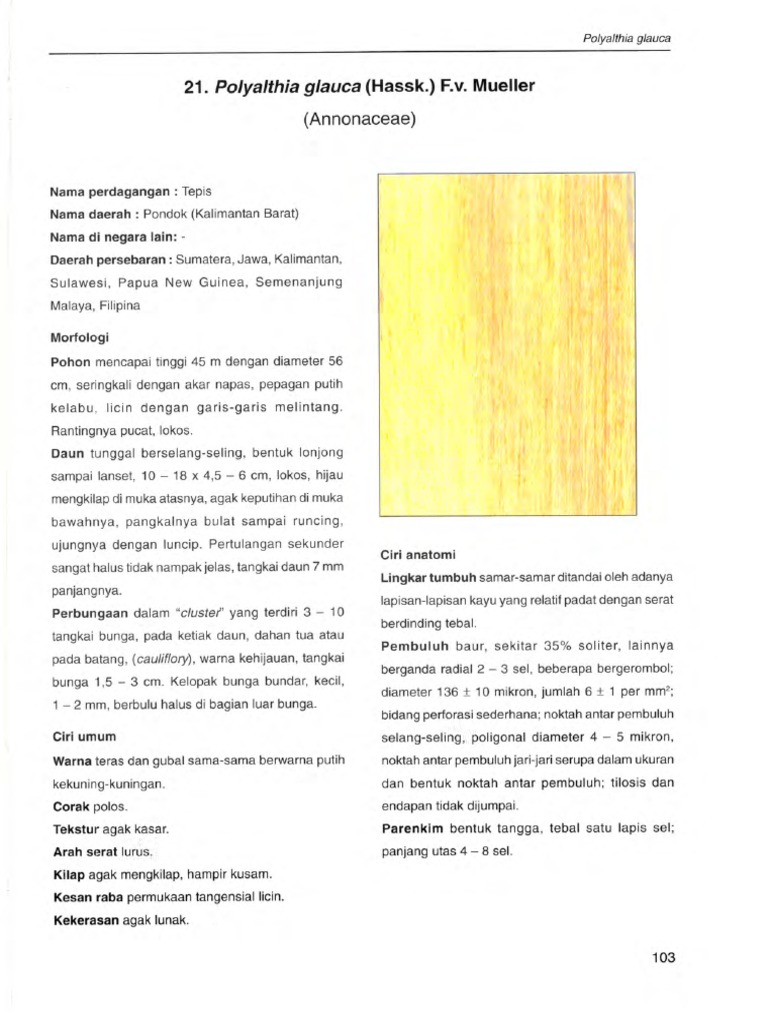 Risalah Atlas Kayu Indonesia Jilid III-3-scan N Compres | PDF