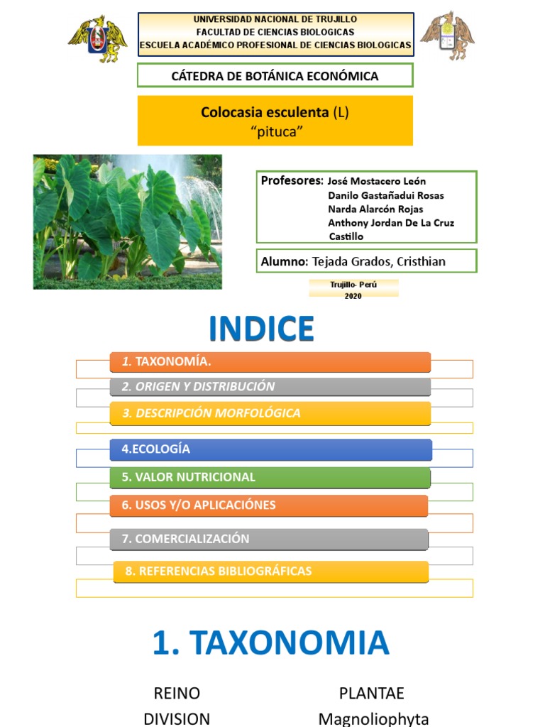 Tejada Grados-Pituca | PDF | Organismos | Morfología Vegetal