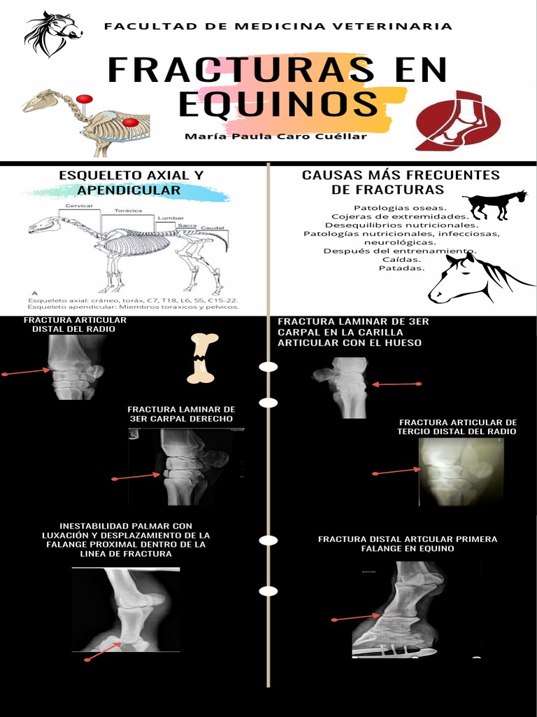Fracturas en Equinos | PDF