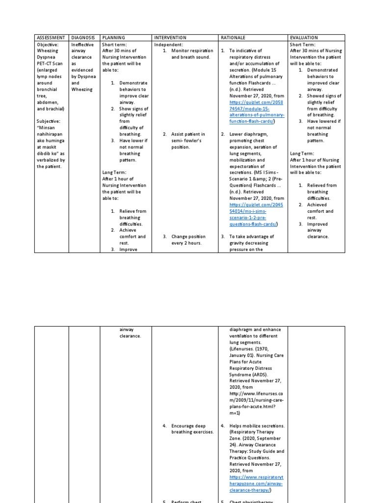 NCP 1 | PDF | Respiratory Tract | Breathing