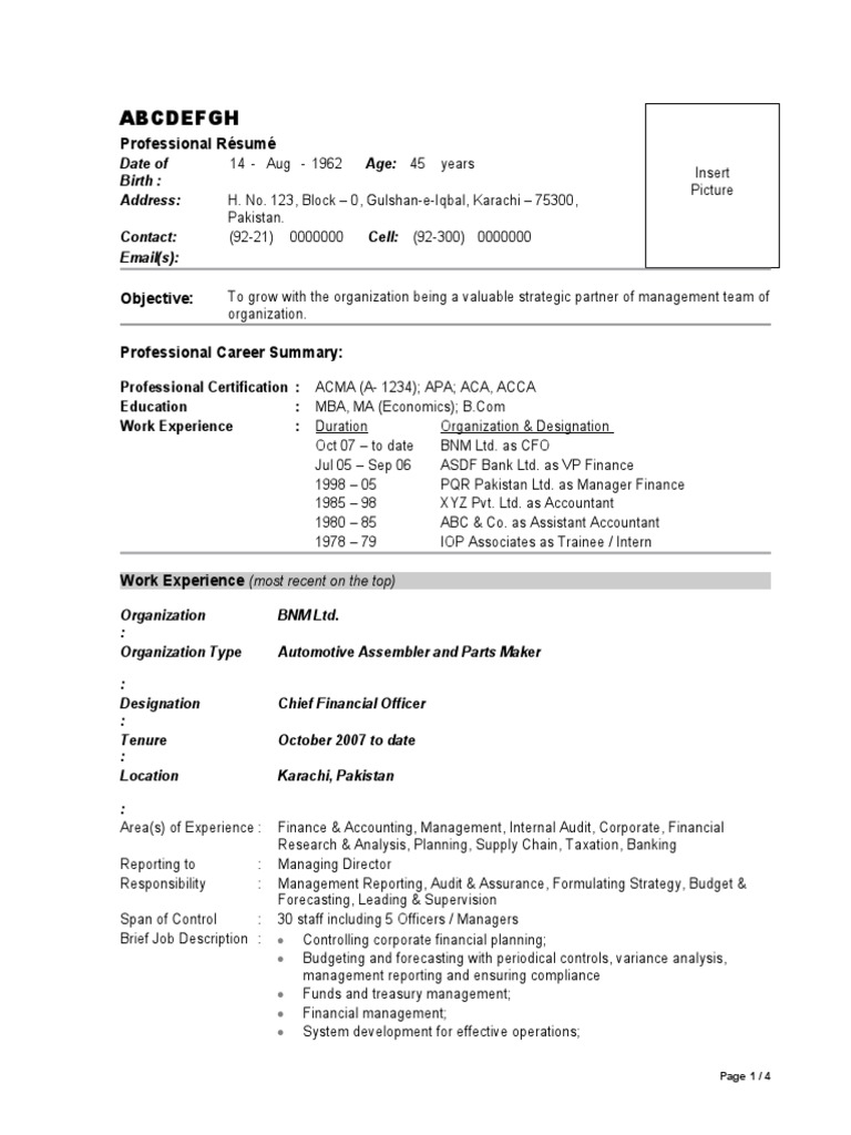 Professional CV Format | PDF | Chief Financial Officer | Internal Control