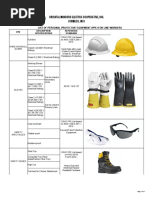 HSE Committee Chart | PDF