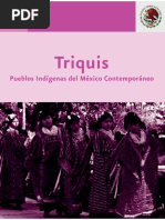 Pueblo Triqui: Cultura y Ubicación | PDF