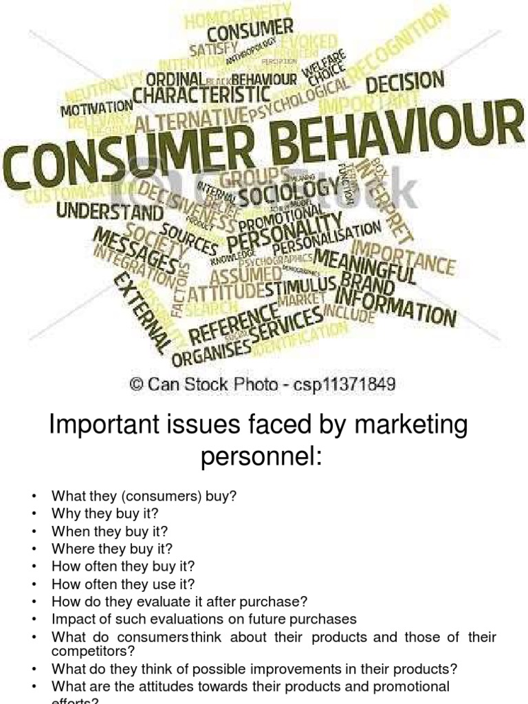 CB - Introduction | PDF | Consumer Behaviour | Marketing Research