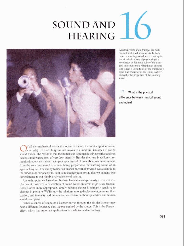 Understanding Sound Waves and Hearing | PDF | Sound | Harmonic