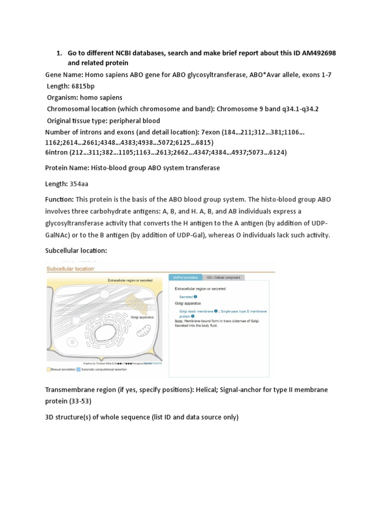 ABO Gene Primer Design and Analysis | PDF | Primer (Molecular Biology ...