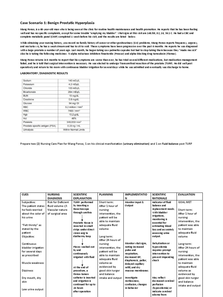 Benign Prostatic Hyperplasia Care Plan | PDF | Catheter | Medicine