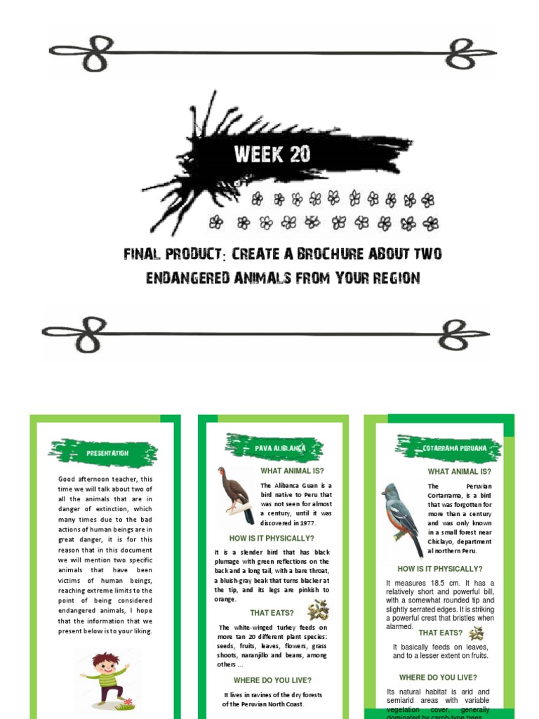 Week 20: Final Product: Create A Brochure About Two Endangered Animals ...